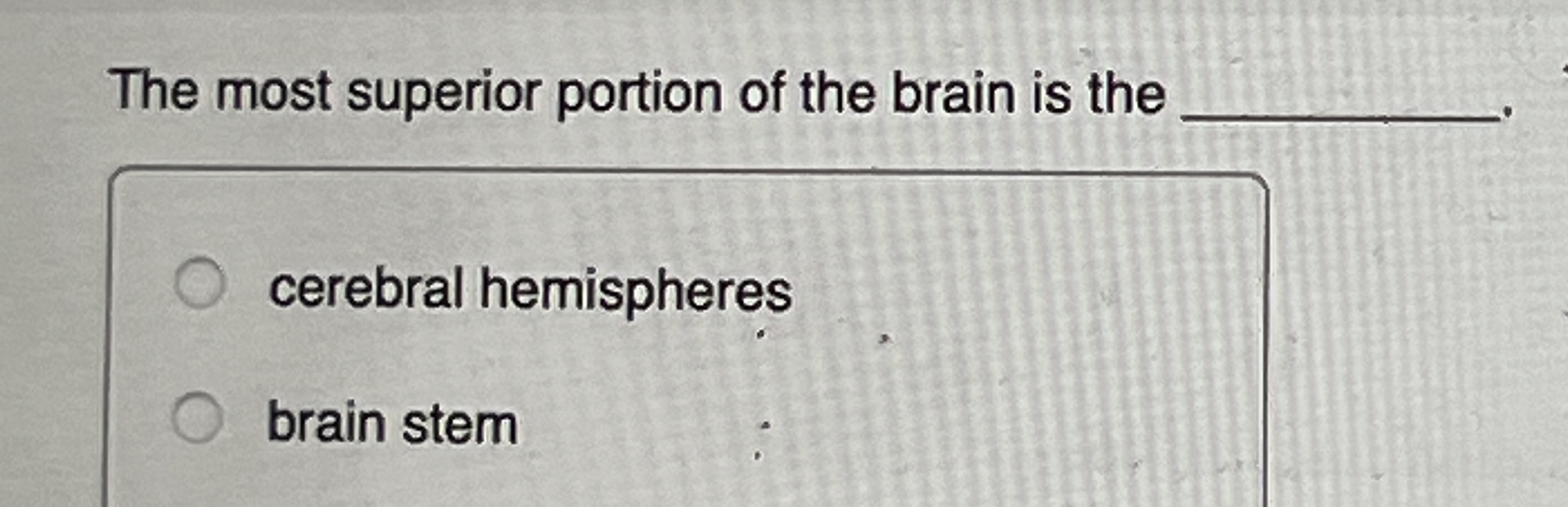 Solved The most superior portion of the brain is thecerebral | Chegg.com