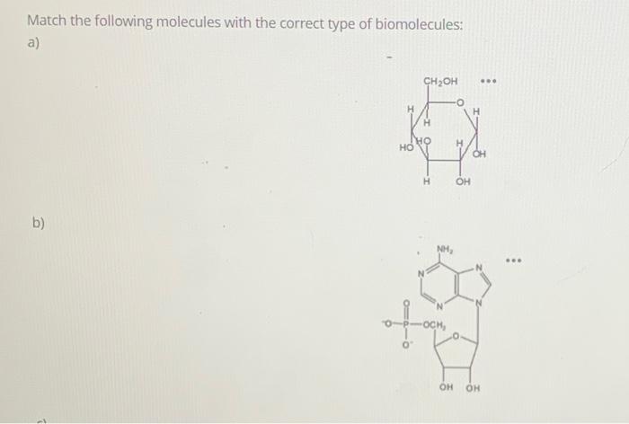 Solved c) d) Match the following molecules with the | Chegg.com