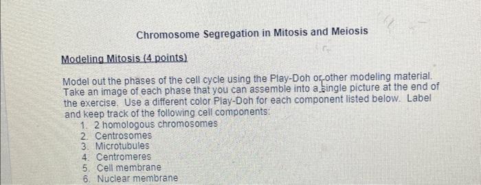 Chromosome Segregation in Mitosis and Meiosis | Chegg.com