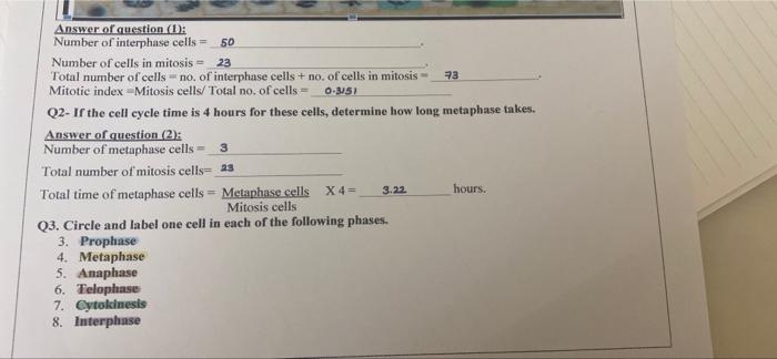 Solved Q1. Calculate the mitotic index for the field of | Chegg.com