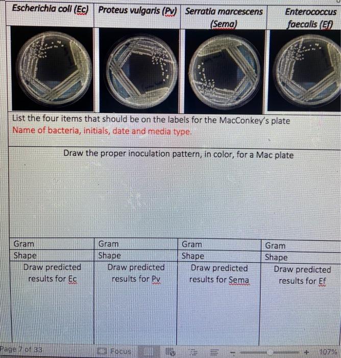 Solved I need help with drawing the proper inoculation | Chegg.com