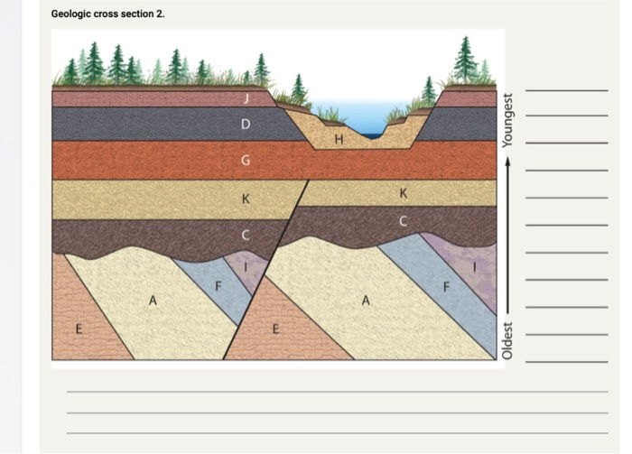 Solved Geologic cross section 2 D Youngest H G K K C С F F A | Chegg.com