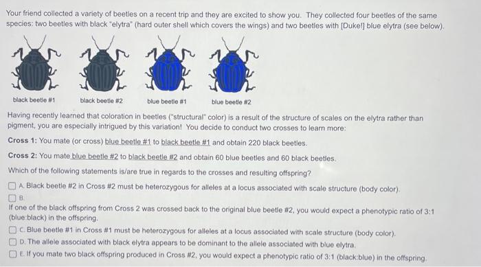 Solved Your friend collected a variety of beetles on a | Chegg.com
