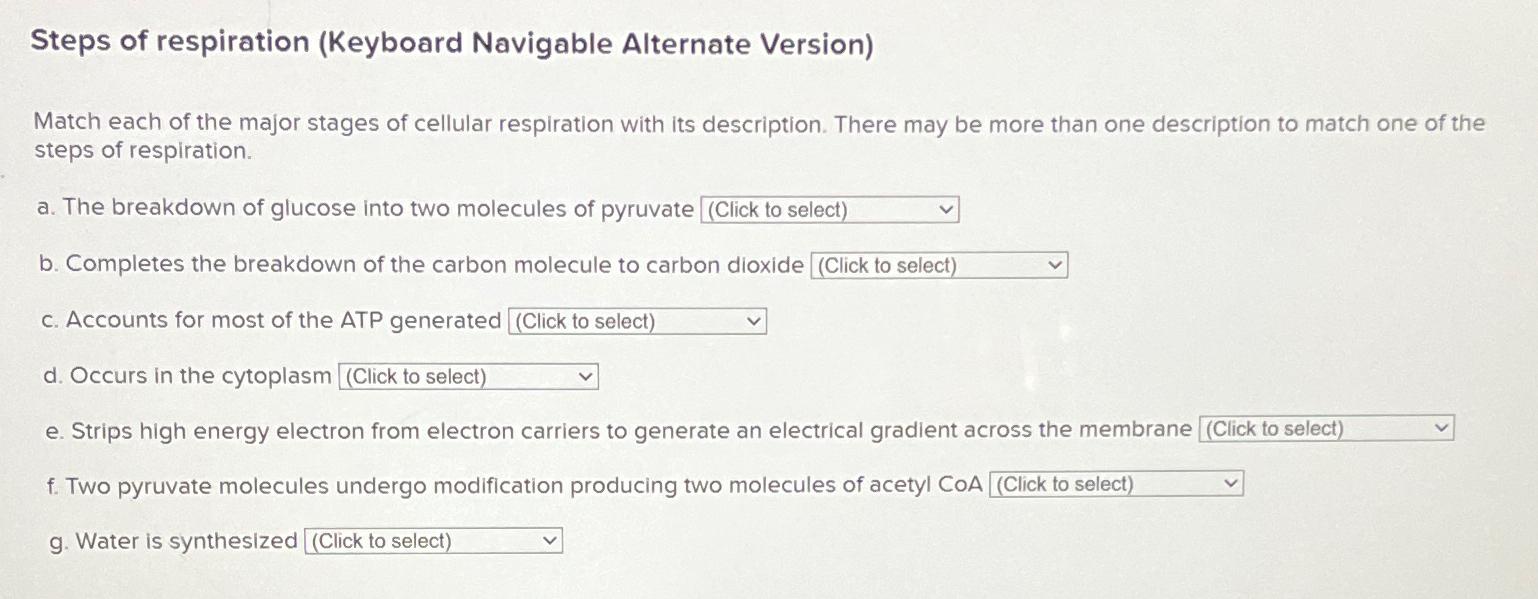 Solved Steps of respiration (Keyboard Navigable Alternate | Chegg.com