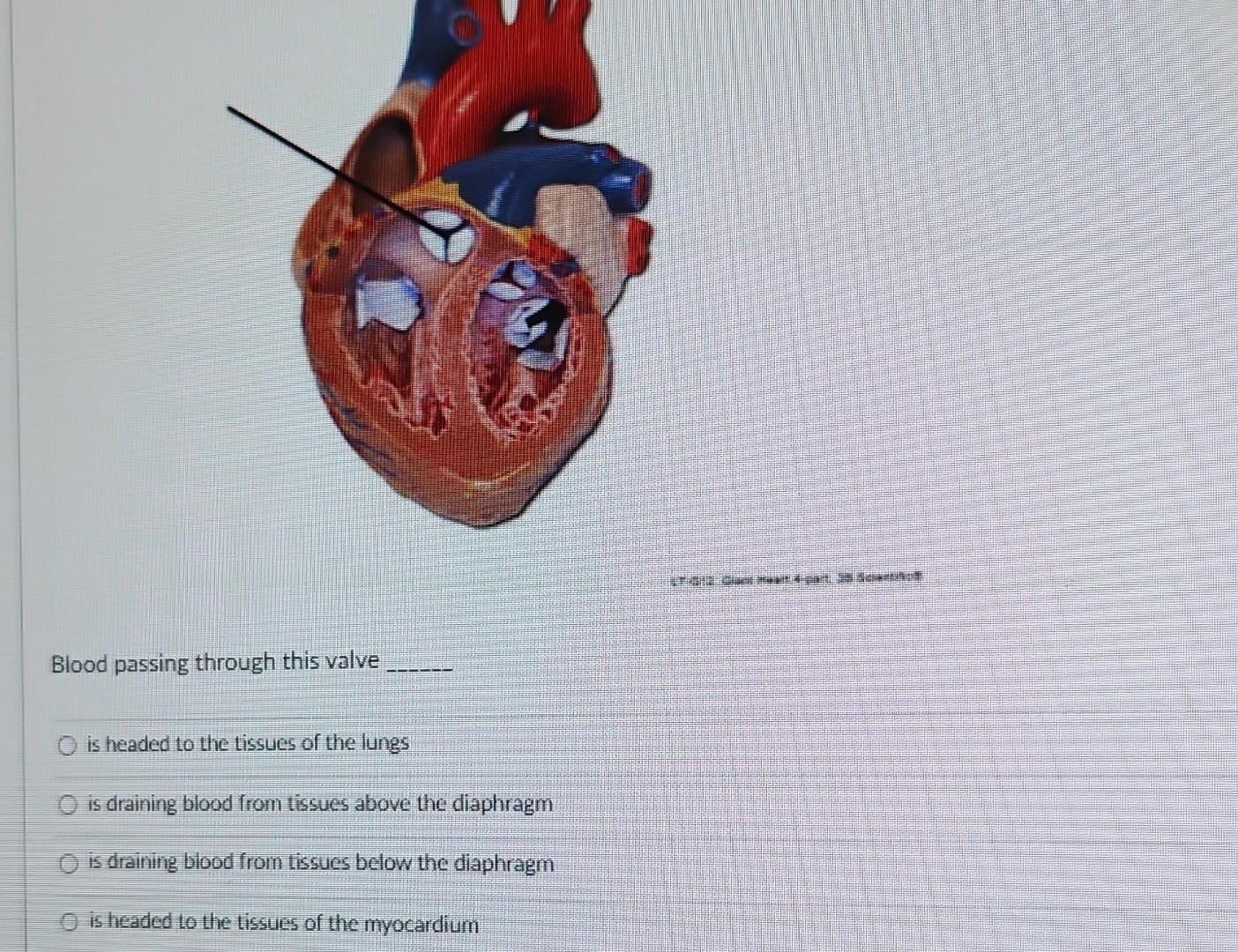 Solved Blood passing through this valve is headed to the | Chegg.com