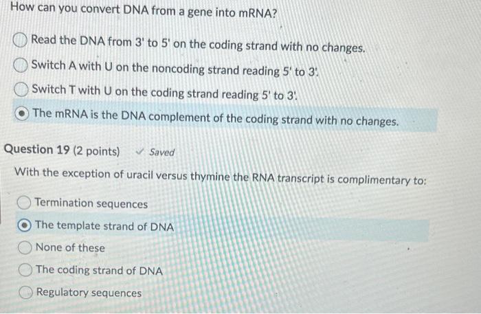 Solved How can you convert DNA from a gene into mRNA? Read | Chegg.com