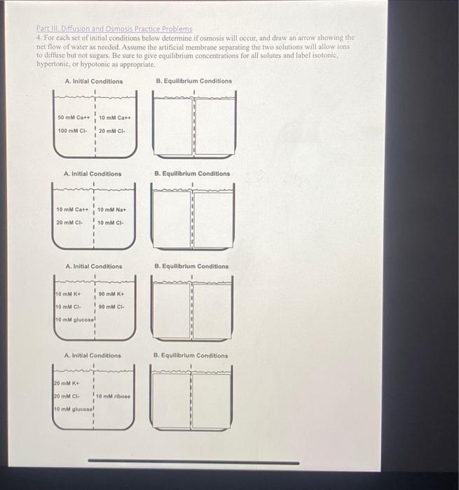 Solved Part III Diffusion and Osmosis Practice Problems 4. | Chegg.com