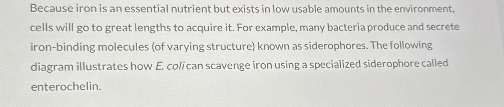 Solved Because iron is an essential nutrient but exists in | Chegg.com