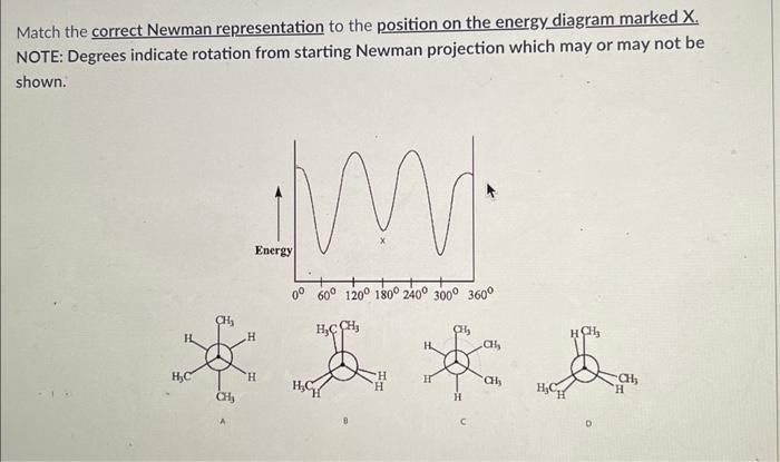 Solved Match the correct Newman representation to the | Chegg.com