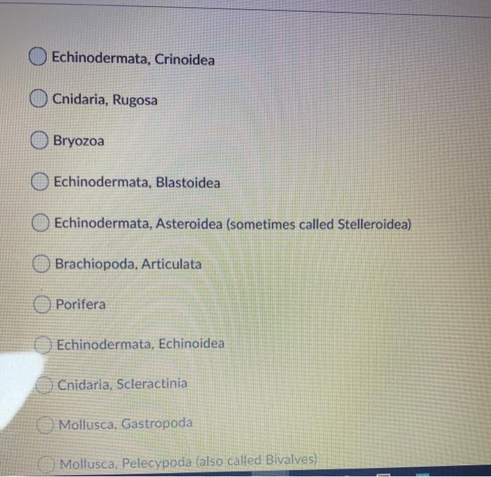 Solved ho Echinodermata, Crinoidea Cnidaria, Rugosa | Chegg.com