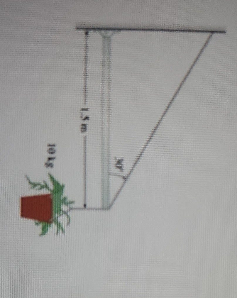 Solved You decide to hang a new 10 kg flowerpot using the | Chegg.com