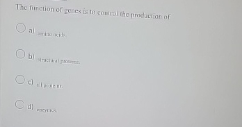 Solved The funclion of genes is to control the production | Chegg.com