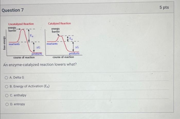Solved An enzyme-catalyzed reaction lowers what? A. Delta G | Chegg.com