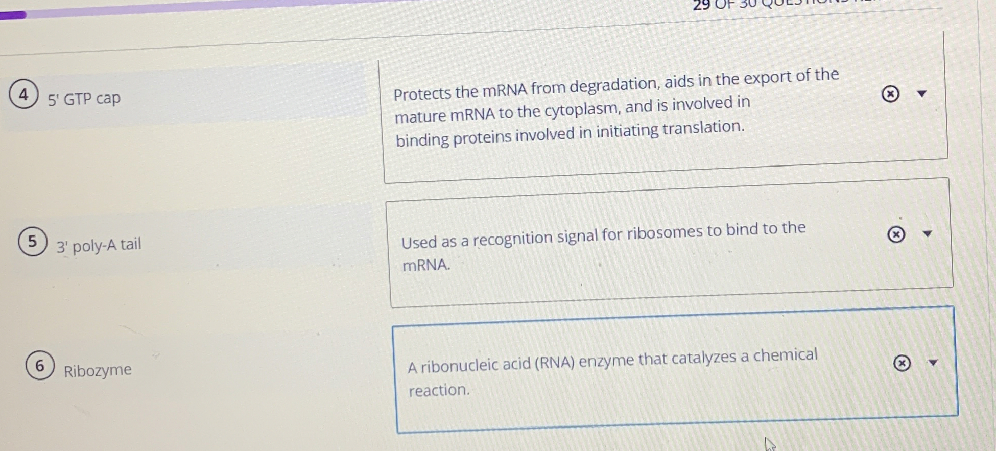 Solved (4) 5 ' ﻿GTP capProtects the mRNA from degradation, | Chegg.com