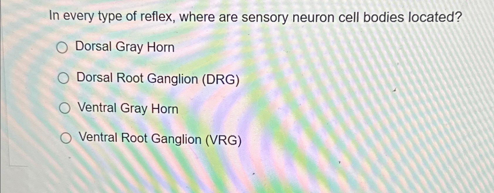 Solved In every type of reflex, where are sensory neuron | Chegg.com