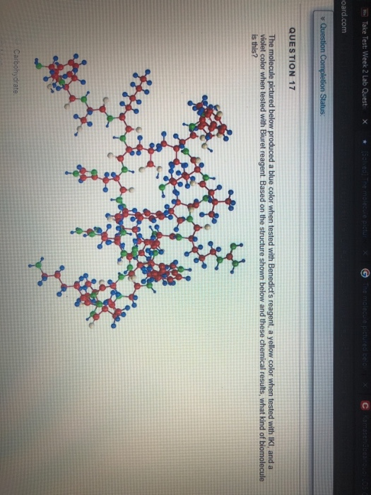 Solved 1Take Test: Week 2 Lab Quest * Soveo) The molecule | Chegg.com