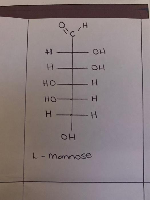 Solved In addition to the open-chain forms seen on the | Chegg.com