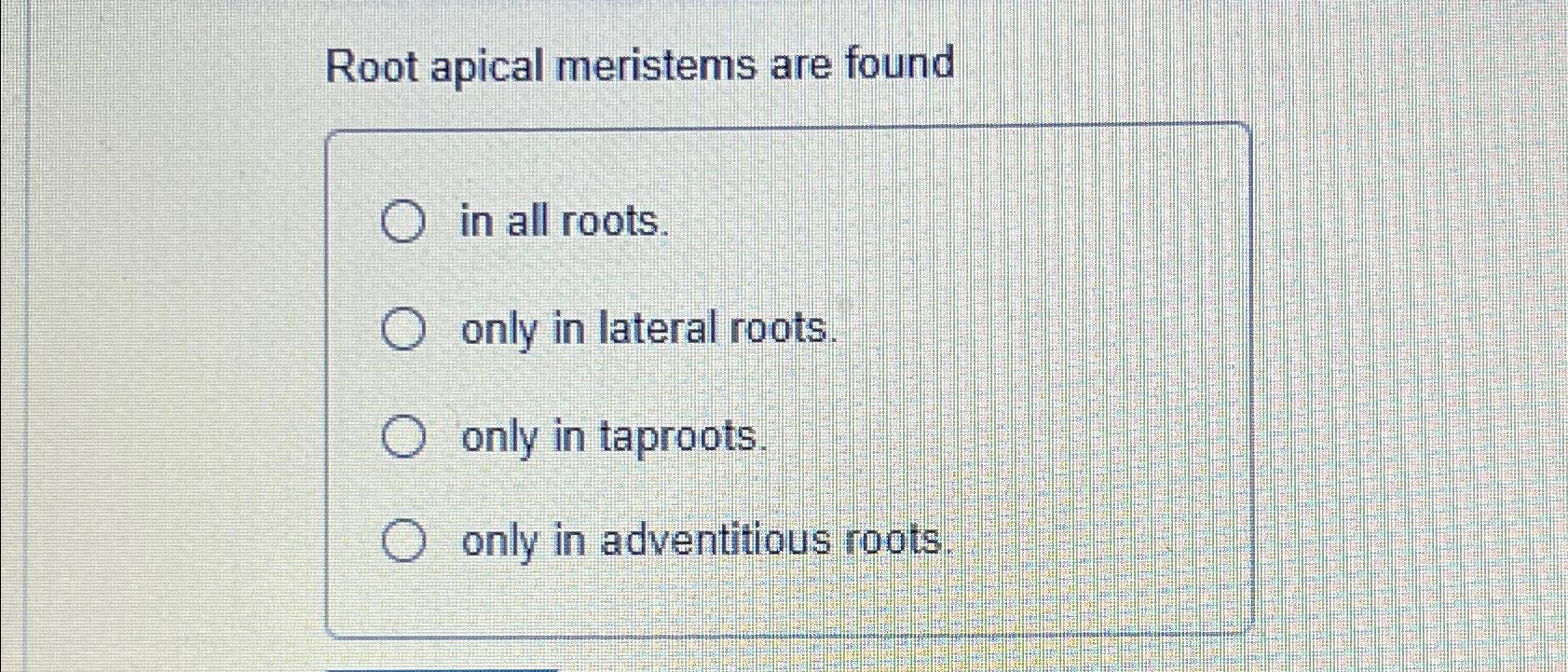 Solved Root apical meristems are foundin all roots.only in | Chegg.com