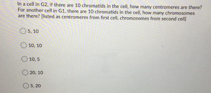 Solved In a cell in G2, if there are 10 chromatids in the | Chegg.com
