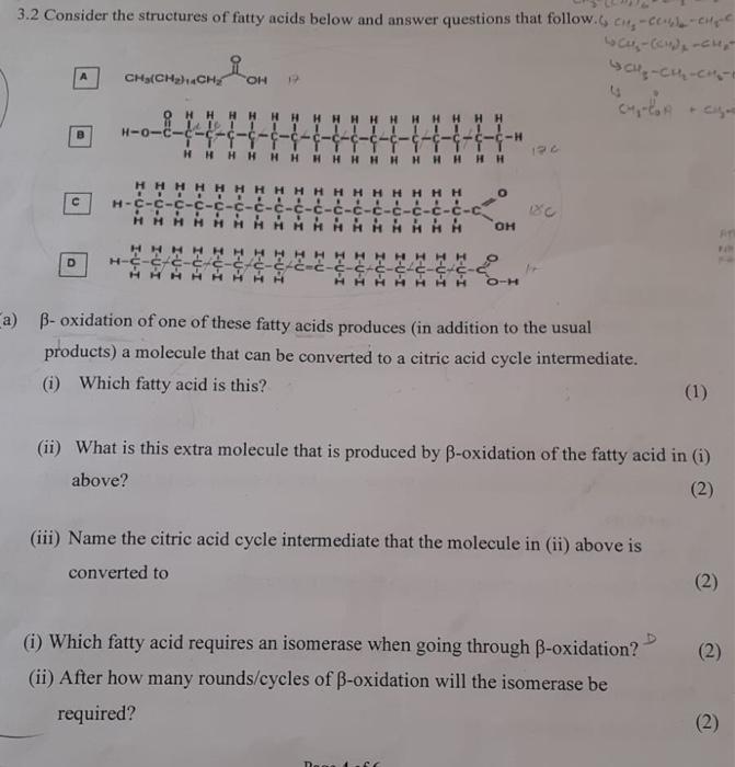 Solved 3.2 Consider the structures of fatty acids below and | Chegg.com