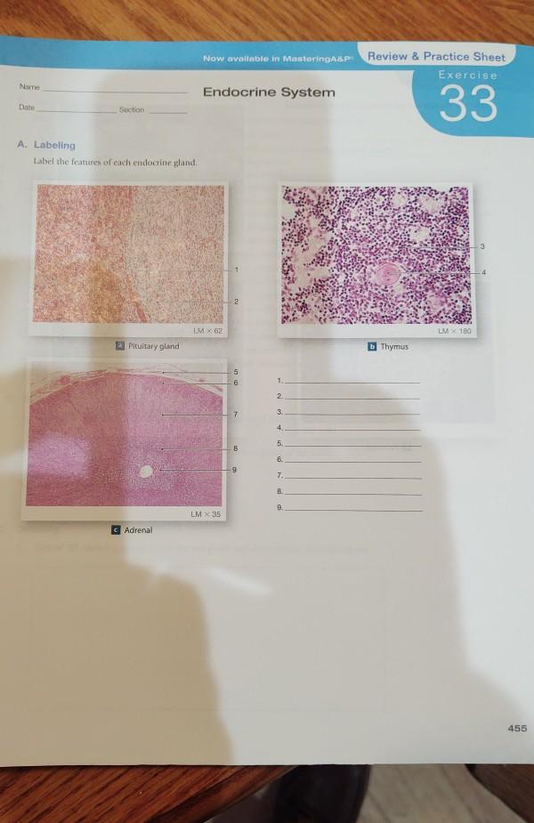 Solved Now available in Masteringasp Review & Practice Sheet | Chegg.com