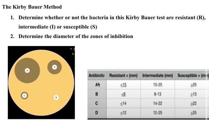 Solved The Kirby Bauer Method 1 Determine Whether Or Not