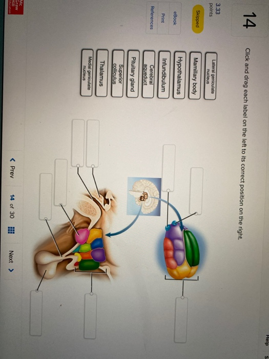 Solved Click and drag the terms on the left to accurately | Chegg.com