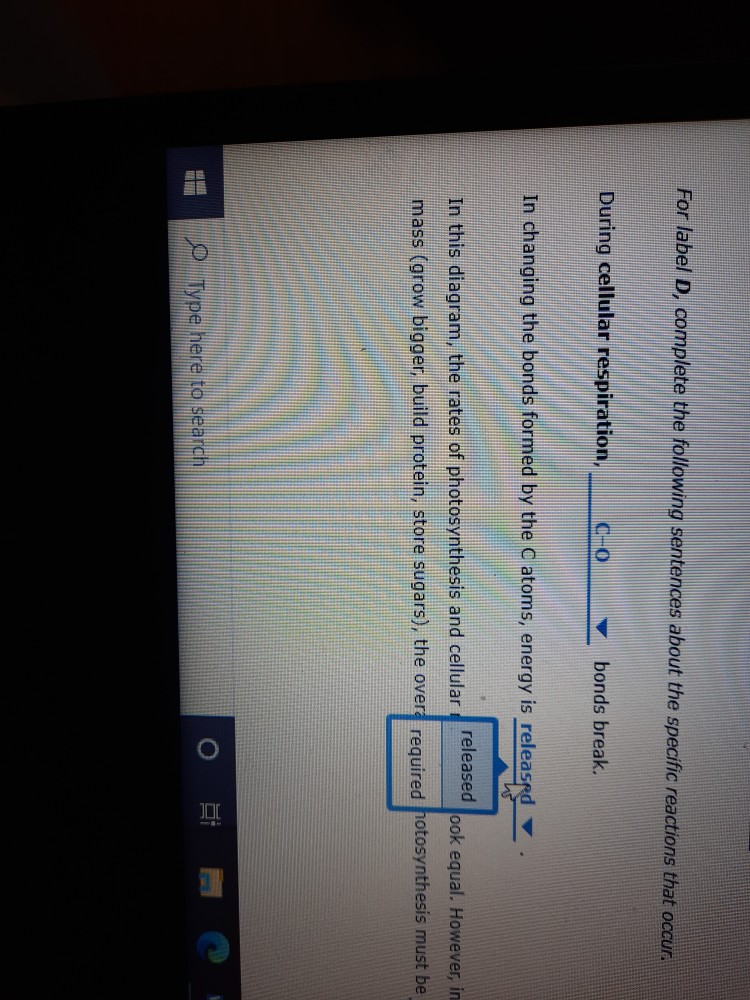 Solved 6. Converting energy in photosynthesis and cellular | Chegg.com