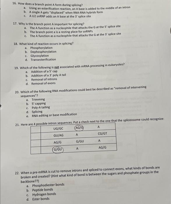 Solved 16. How does a branch point A form during splicing? | Chegg.com