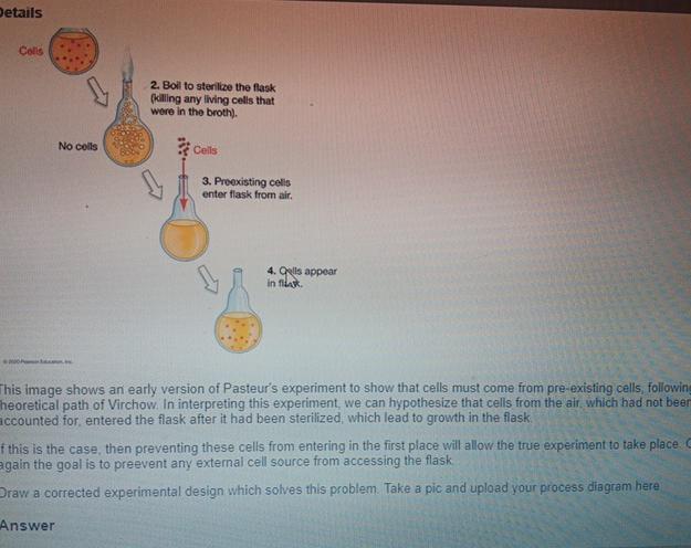 Solved etailsCollsThis image shows an early version of | Chegg.com