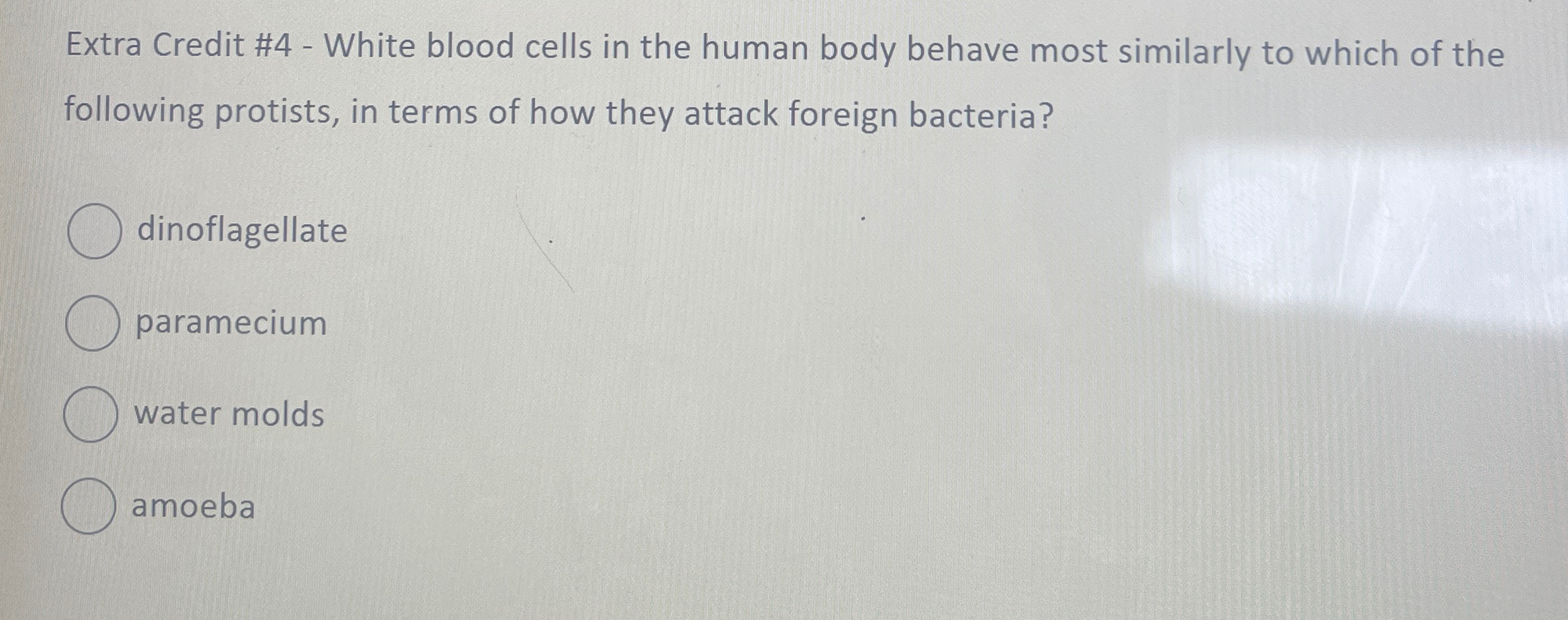 Solved Extra Credit #4 - ﻿White blood cells in the human | Chegg.com