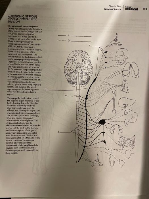 Solved Chapter Five Nervous System KAPLAN medical 149 | Chegg.com