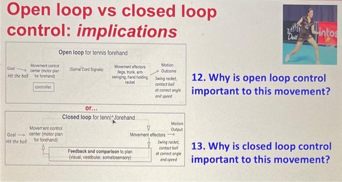 Solved Hintos Relevant theories of motor control • Dynamical | Chegg.com
