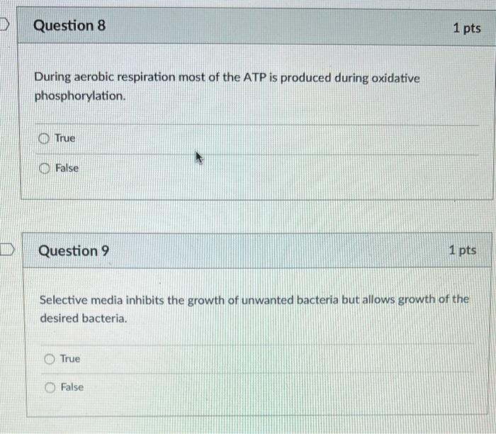 Solved During aerobic respiration most of the ATP is | Chegg.com