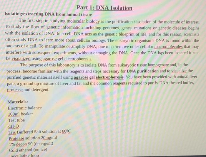 Solved Part 1: DNA Isolation Isolating/extracting DNA from | Chegg.com