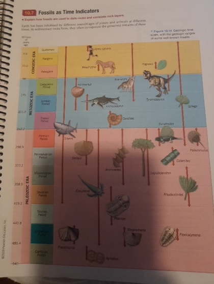 Solved 10.7 ﻿Fossils as Time Indicators | Chegg.com