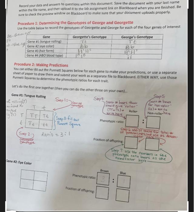 Solved Record your data and answers to questions within this | Chegg.com