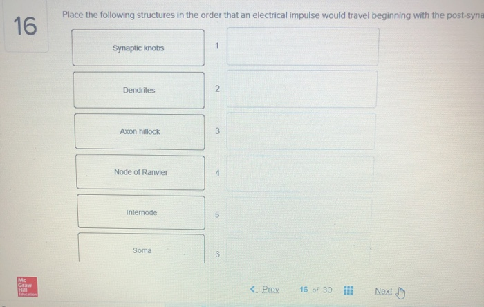 Solved Place the following structures in the order that an | Chegg.com