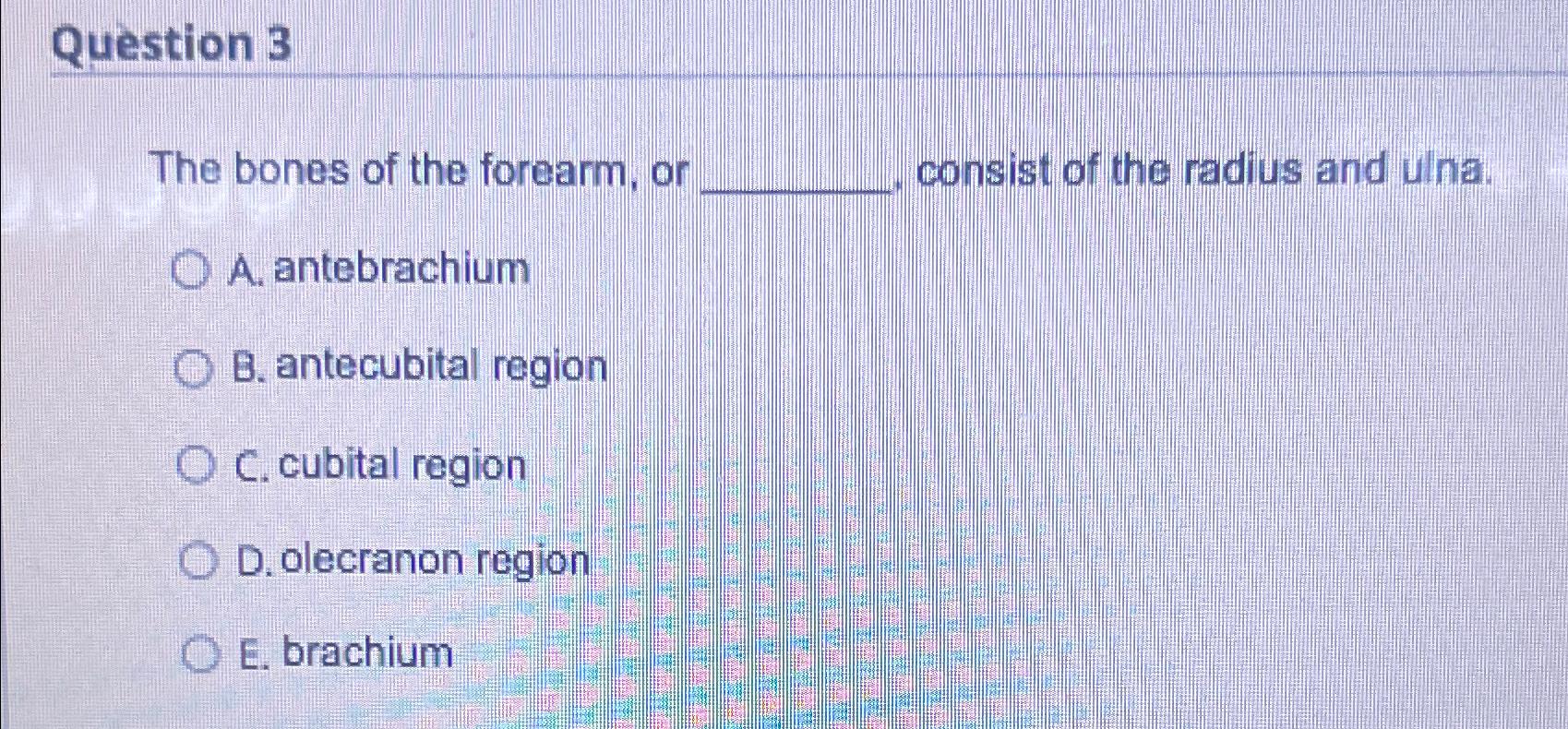 Solved Question 3The bones of the forearm, or consist of the | Chegg.com