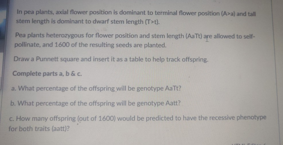 Solved In pea plants, axial flower position is dominant to | Chegg.com