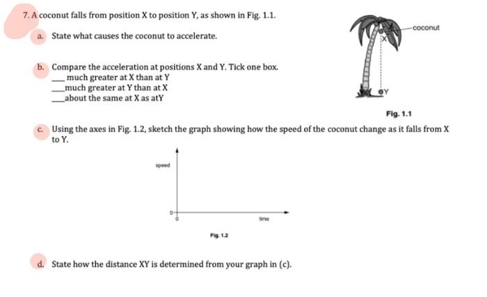 Solved 7. A coconut falls from position X to position Y, as | Chegg.com