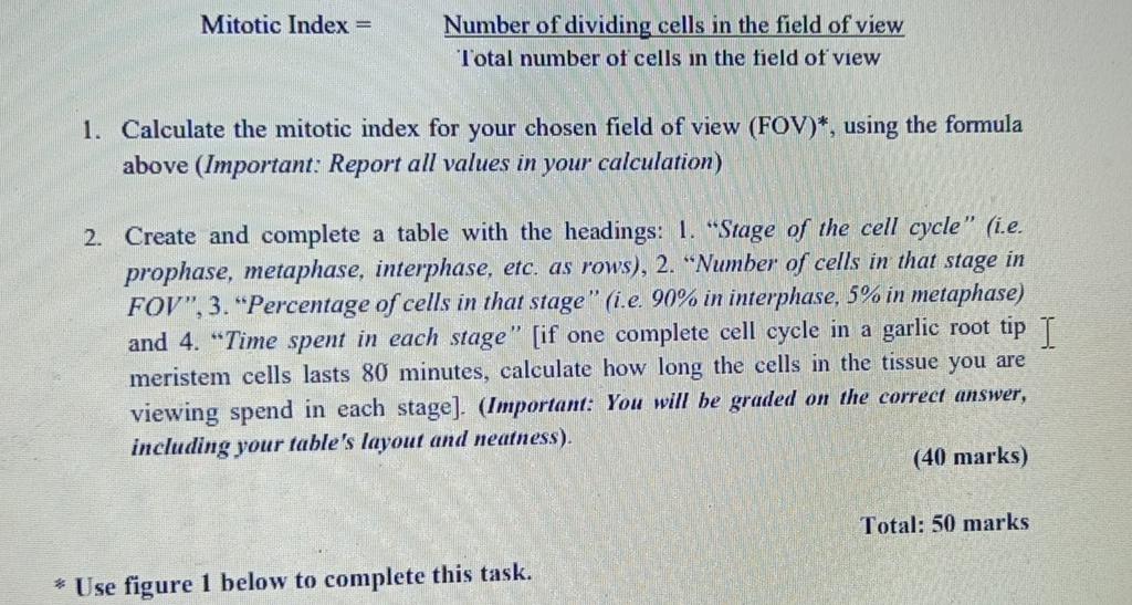 Mitotic Index = Number of dividing cells in the field | Chegg.com
