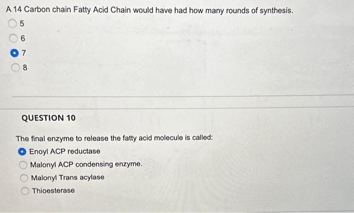 Solved A 14 Carbon chain Fatty Acid Chain would have had how | Chegg.com