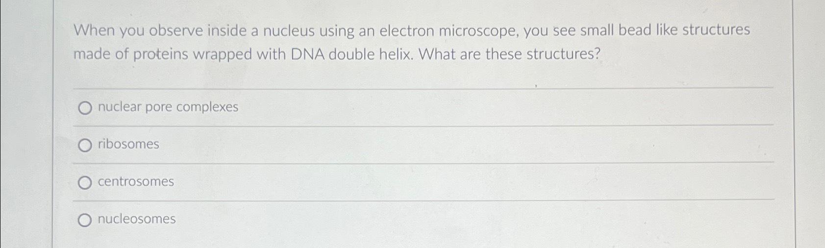 Solved When You Observe Inside A Nucleus Using An Electron