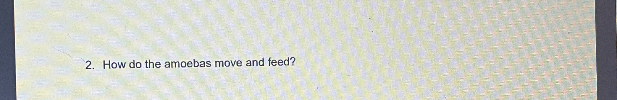 Solved How do the amoebas move and feed? | Chegg.com