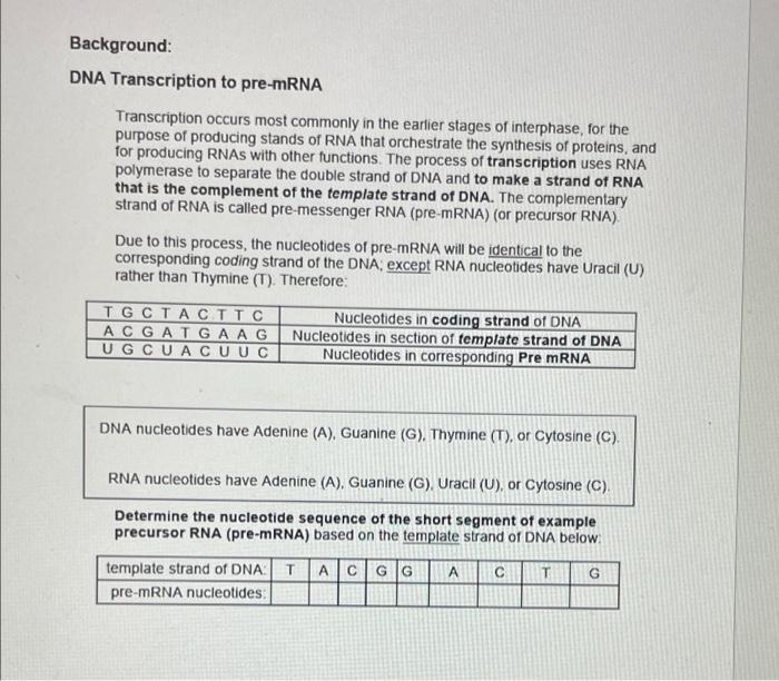 Solved Background: DNA Transcription to pre-mRNA | Chegg.com