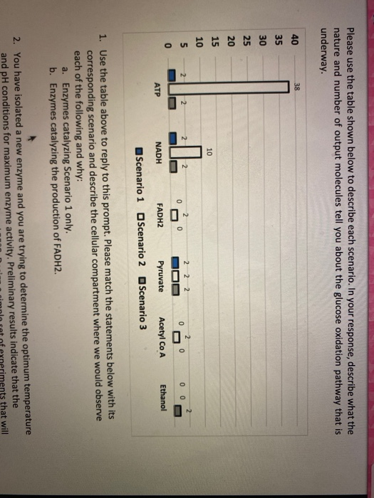 Solved Please use the table shown below to describe each | Chegg.com