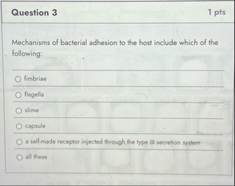 Solved Question 31 ﻿ptsMechanisms of bacterial adhesion to | Chegg.com