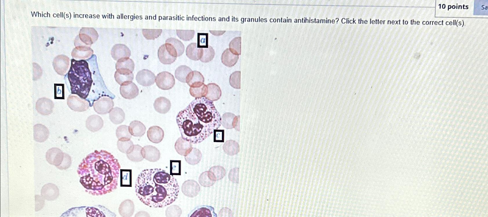 Solved 10 ﻿pointsSaWhich cell(s) ﻿increase with allergies | Chegg.com