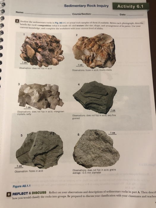 Solved Name: Course/Section Date: A Complete parts through 6 | Chegg.com